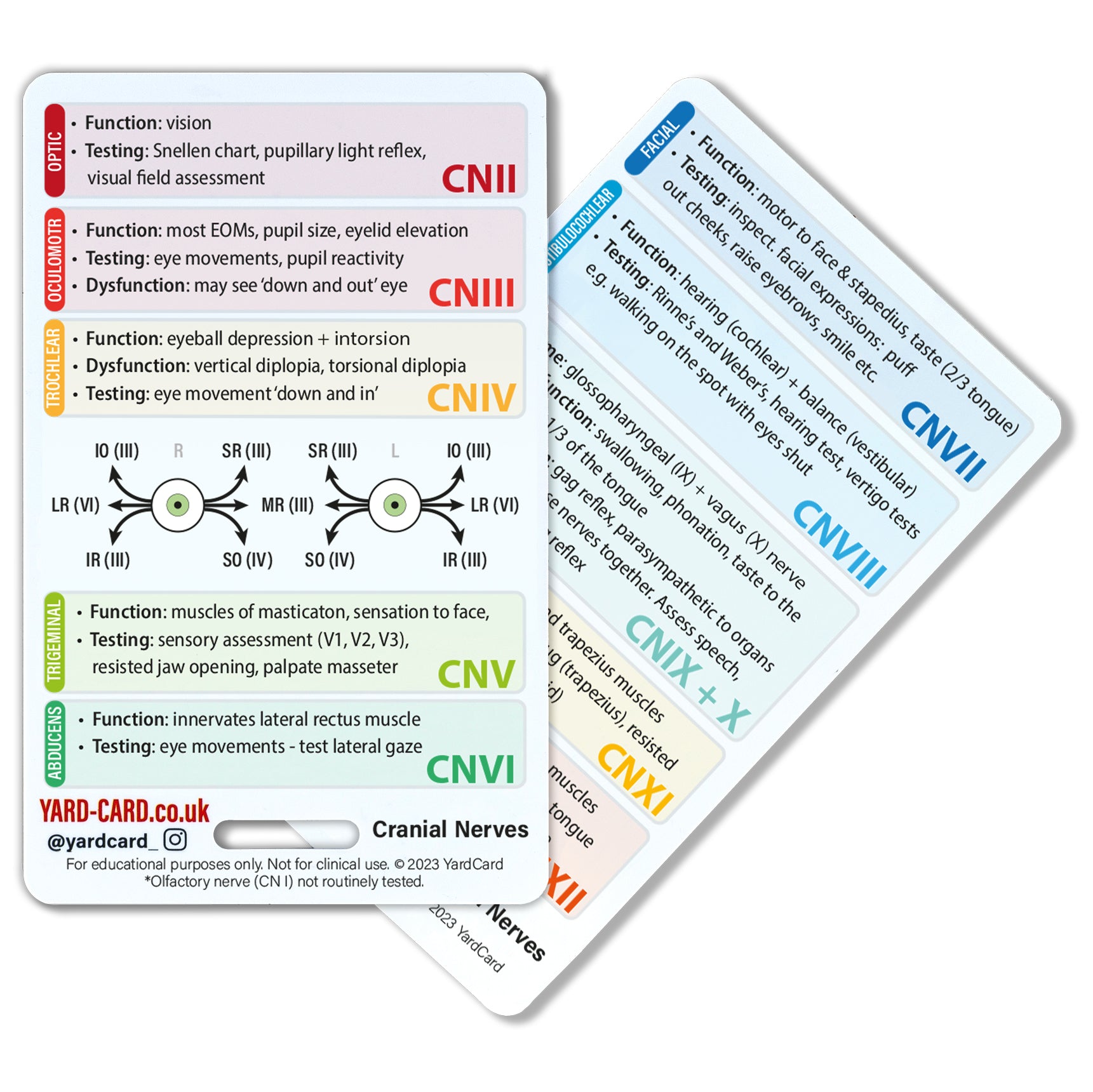 YardCard Bundle Deal 2 (ABCDE Assessment, Cranial Nerves, SOCRATES, Sp ...