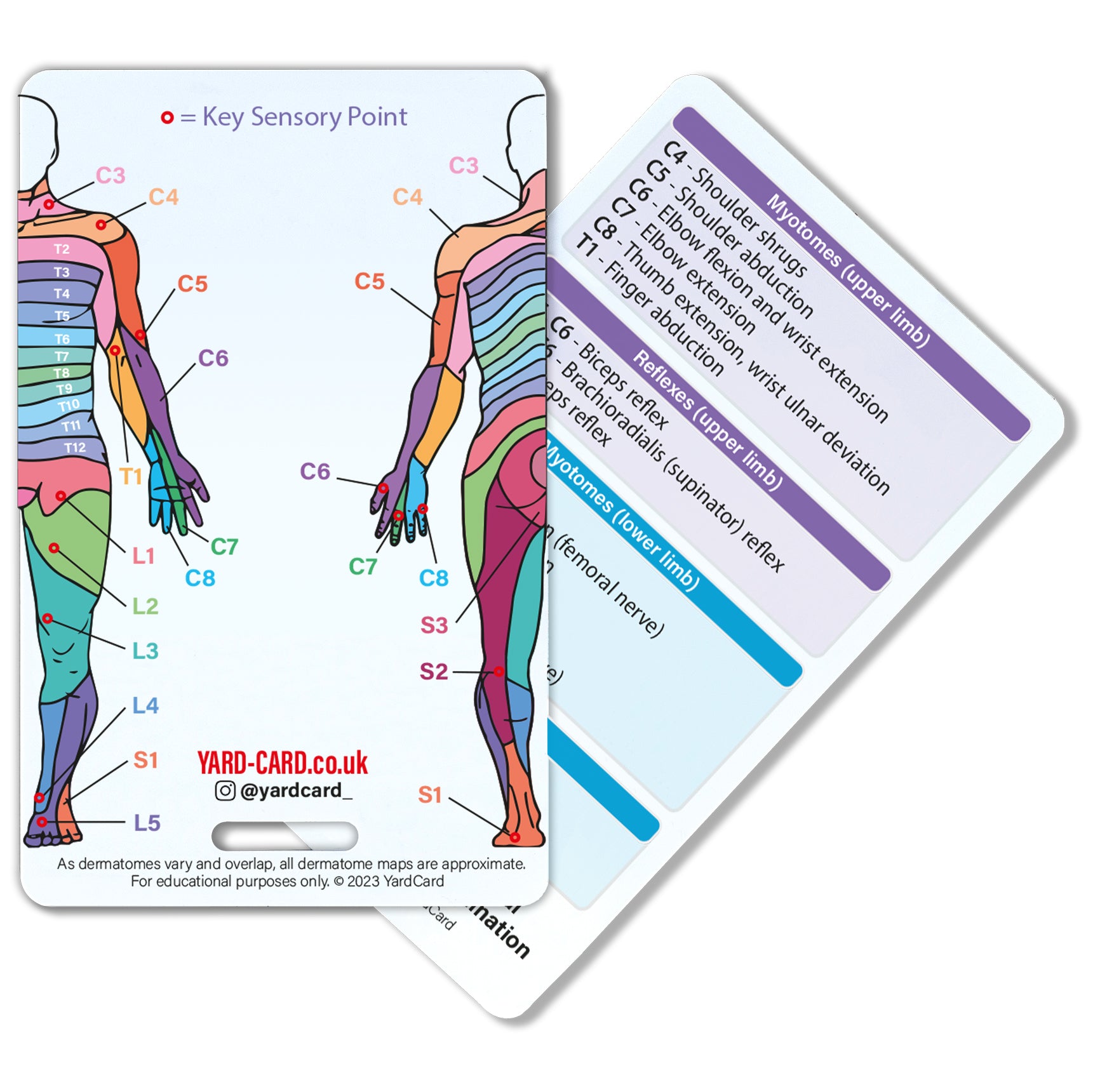YardCard Bundle Deal 2 (ABCDE Assessment, Cranial Nerves, SOCRATES, Sp ...