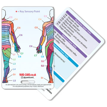 YardCard Badge Card Set (Bloods, ECG, NEWS2, GCS/SBAR) - Lanyard Cards ...